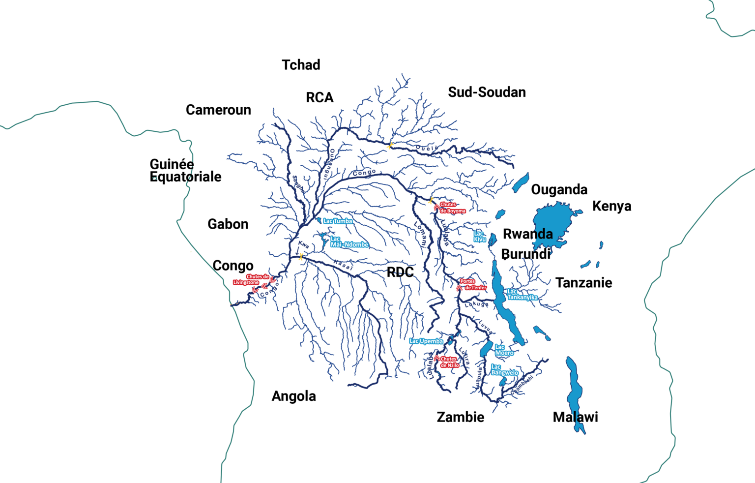 Préservation du bassin du Congo | Fondation Brazzaville