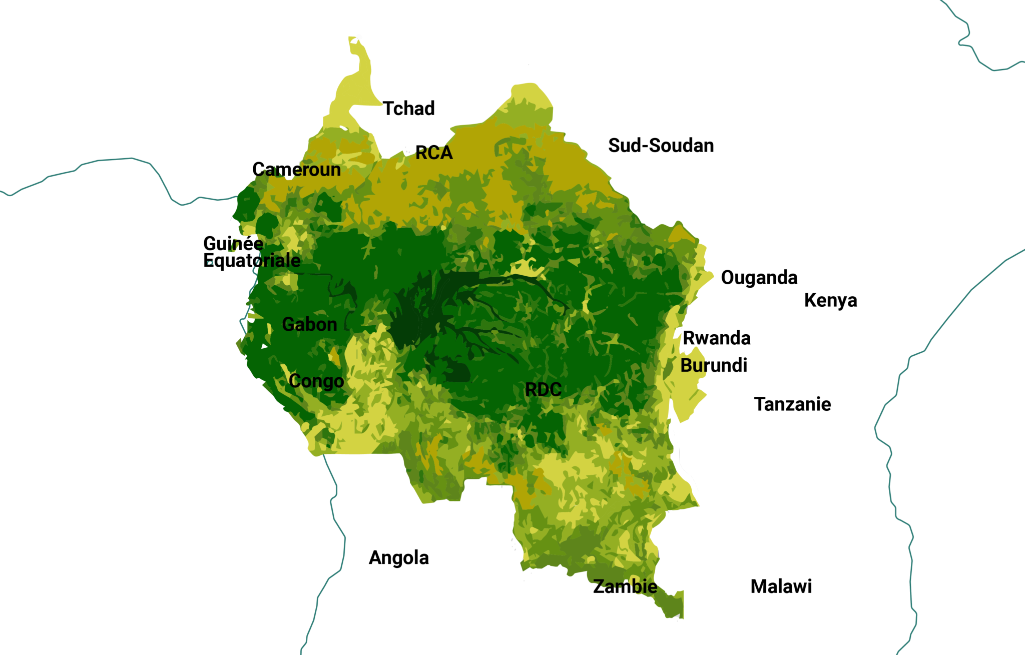 Préservation du bassin du Congo | Fondation Brazzaville